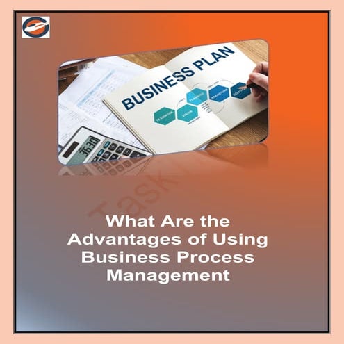 What Are the Advantages of Using Business Process Management.pdf