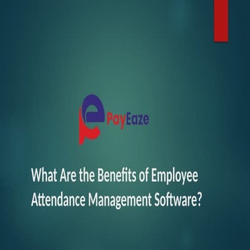 Fusion absence management explained with examples | PDF