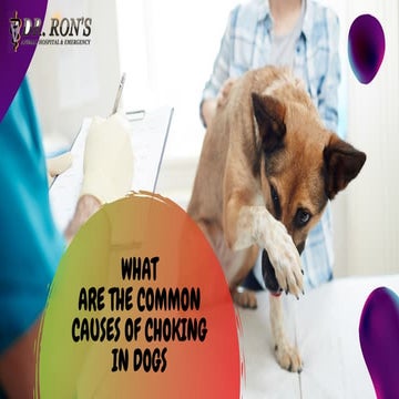 What are the Common Causes of Choking in Dogs | PPT
