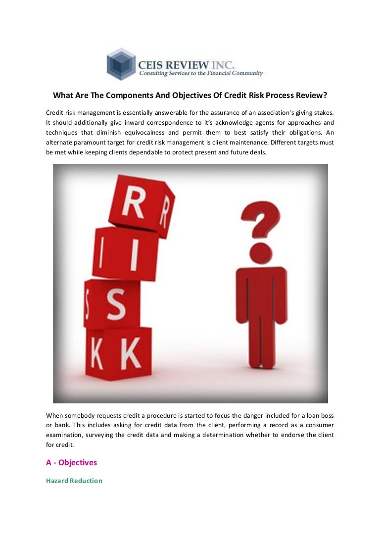What Are The Components And Objectives Of Credit Risk Process Review what-are-the-components-and-objectives-of-credit-risk-process-review
