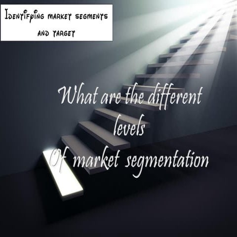 What are the different levels of marketing segmentation | PPT