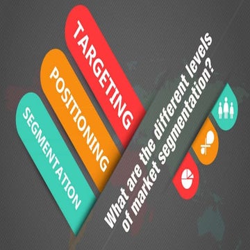 What are the different levels of market segmentation | PPTX