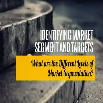 What are the different levels of market segmentation _By Neel sharma | PDF