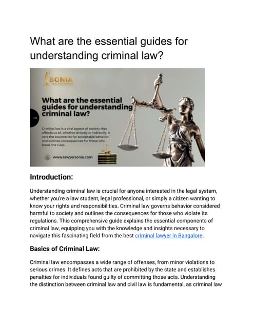 South Korea's Policing System and Law Enforcement.docx