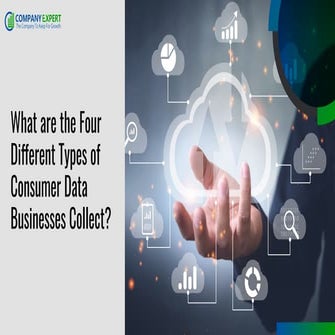 What are the four different types of consumer data businesses collect | PPT