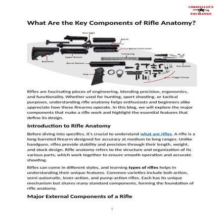 What Are the Key Components of Rifle Anatomy | DOCX