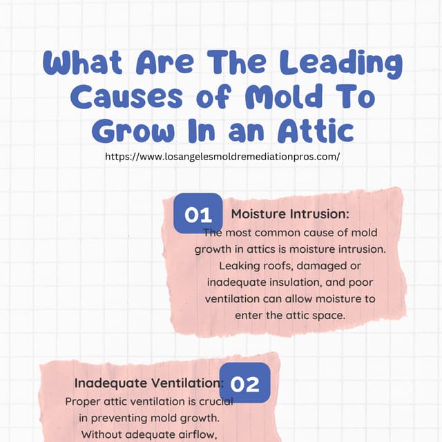 What Are The Leading Causes of Mold To Grow In an Attic.pdf