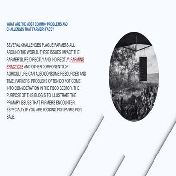 What are The Most Common Problems and Challenges that Farmers Face.pdf