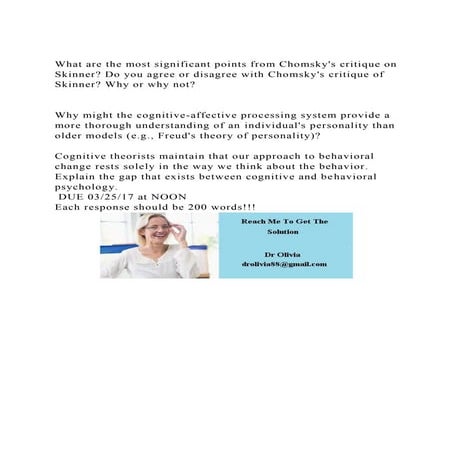 What are the most significant points from Chomskys critique on Sk.docx