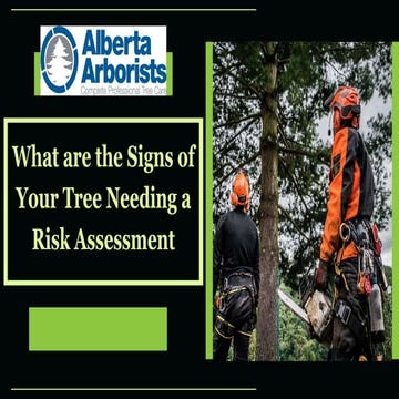 What are the Signs of Your Tree Needing a Risk Assessment | PPT