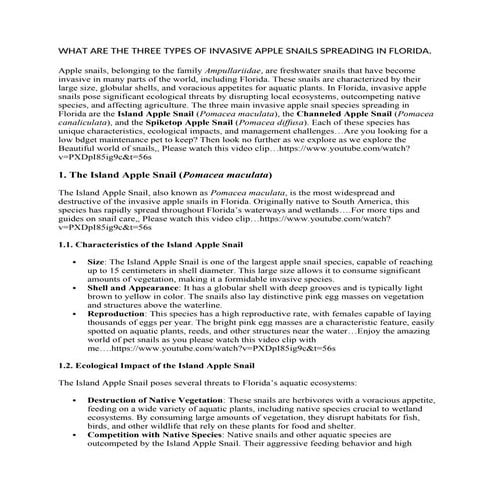 WHAT ARE THE THREE TYPES OF INVASIVE APPLE SNAILS SPREADING IN FLORIDA ...