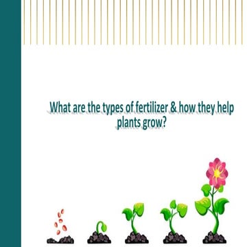 What are the types of fertilizer & how they help plants grow | PPTX