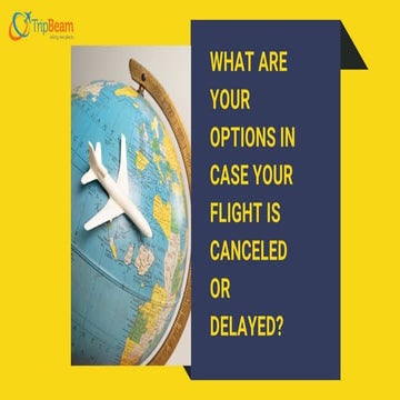 What are your options in case your flight is canceled or delayed.pdf