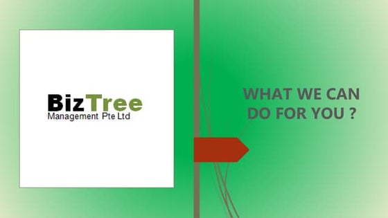 What is Annual Return Filing | PDF