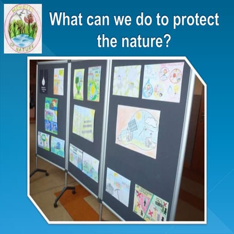 What can we do to protect the nature? | PPTX