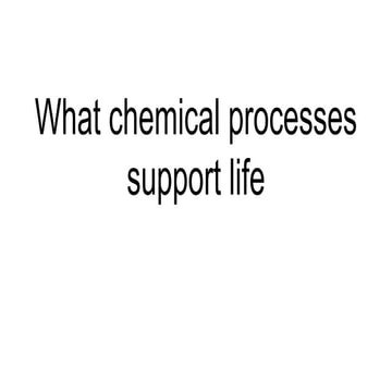 What chemical processes support life.pdf