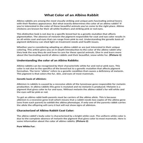 What is an Albino Rabbit: Physical Body of Albino Rabbit Breed | DOCX