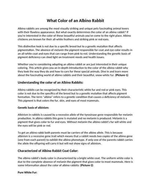 How Long do Albino Rabbits Live: Lifespan of Albino Rabbit Breed | PDF