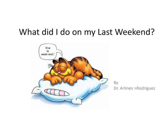 My Weekend | DOC | Bars & Restaurants | Attractions