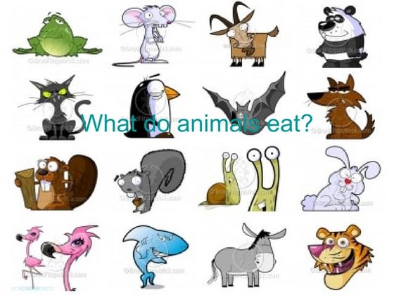 Classifying animals according to the food they eat | PPTX