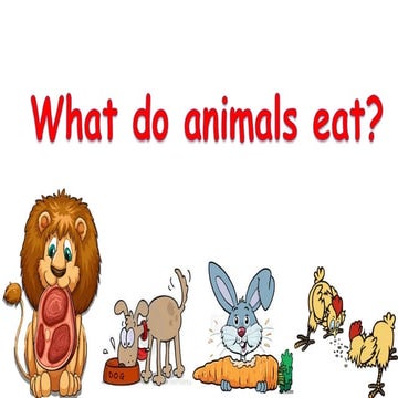 What do animals eat NKP level | PPTX