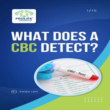 What does a CBC detect - Prolife Diagnostics.pdf | Blood Disorders ...