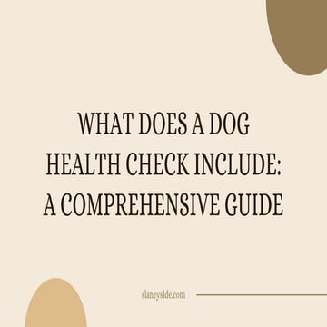 What Does a Dog Health Check Include A Comprehensive Guide - Slaneyside ...