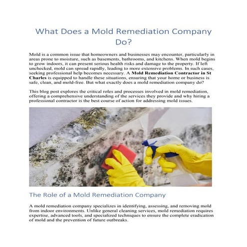Mold Remediation Process.pdf