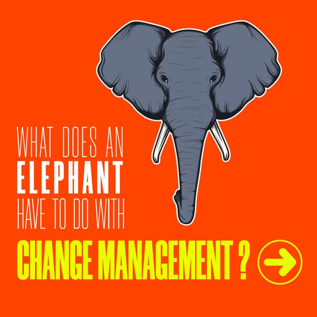 What does an elephant have to do with change managment | PDF