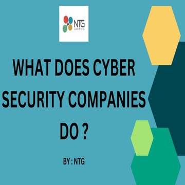 WHAT DOES CYBER SECURITY COMPANIES DO.pdf