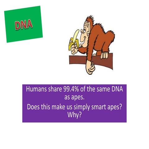 What does it mean to be Human | PPT