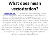 What is Vectorization? | PPT