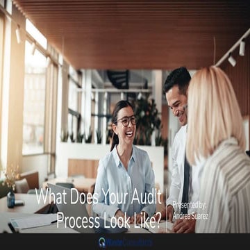 What does your audit process look like? | PPT