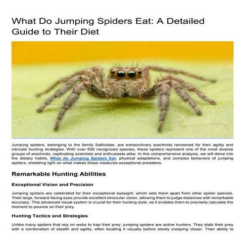 What Do Jumping Spiders Eat: A Detailed Guide to Their Diet | PDF