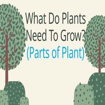 What Do Plants Need To Grow.pptx for grade 1 | PPTX
