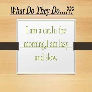 What do they do | PPSX