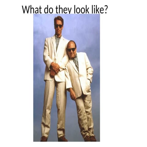 What do they look likeeeeeeeeeeeeeeeeeeee | PPT