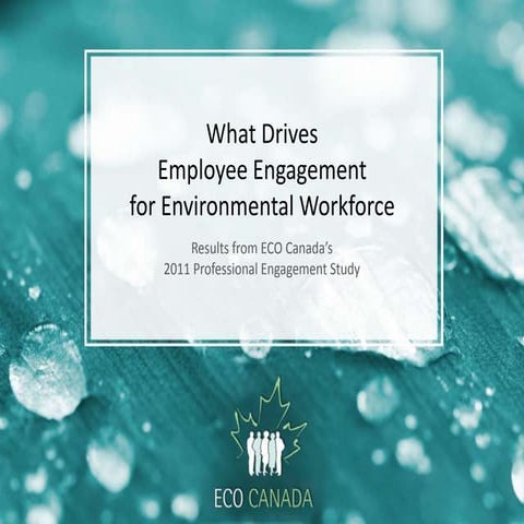 Employee engagement pulse surveys | PDF