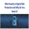 What exactly is digital risk protection and why do you need it .pptx ...