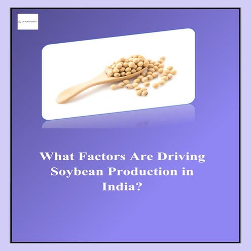 What Factors Are Driving Soybean Production in India.pdf