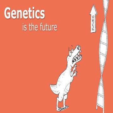 What is 3x4 genetic testing | PDF