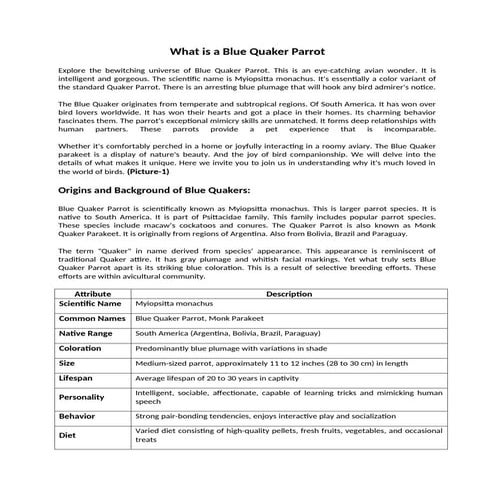 What is a blue Quaker parrot: Origins and Background | DOCX