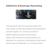 Define Chachkies Different Meanings Of Other Slangs Terms.pdf