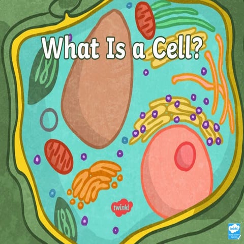 What Is a Cell dalam kehidupannya serta aplikasinya.pptx
