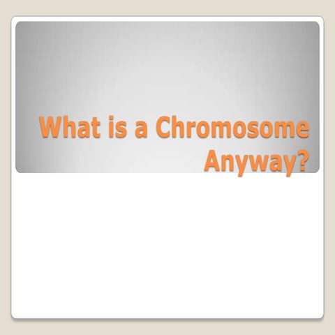What is a chromosome anyway | PPTX