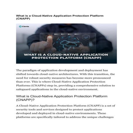 What is a Cloud-Native Application Protection Platform (CNAPP | PDF
