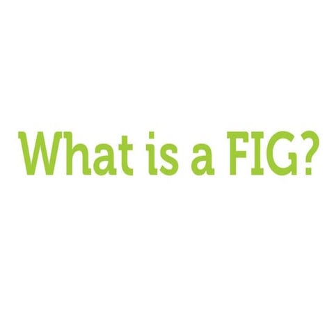 What is a fig | PPTX
