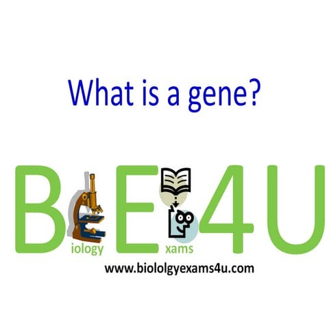 What is a gene? | PPT