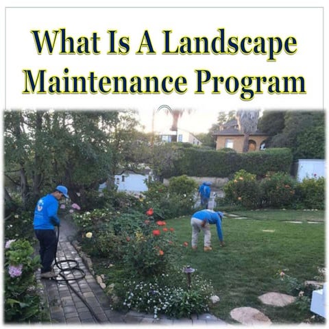 Project 3 - Maintenance Plan | PDF