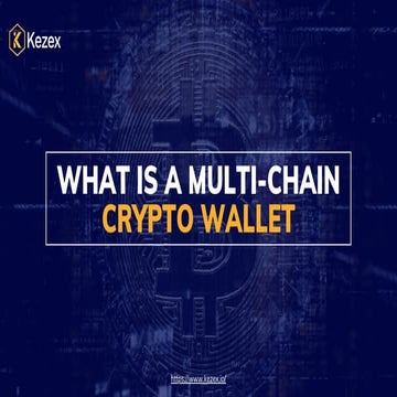 What is a multi-chain crypto wallet. pdf | PPT